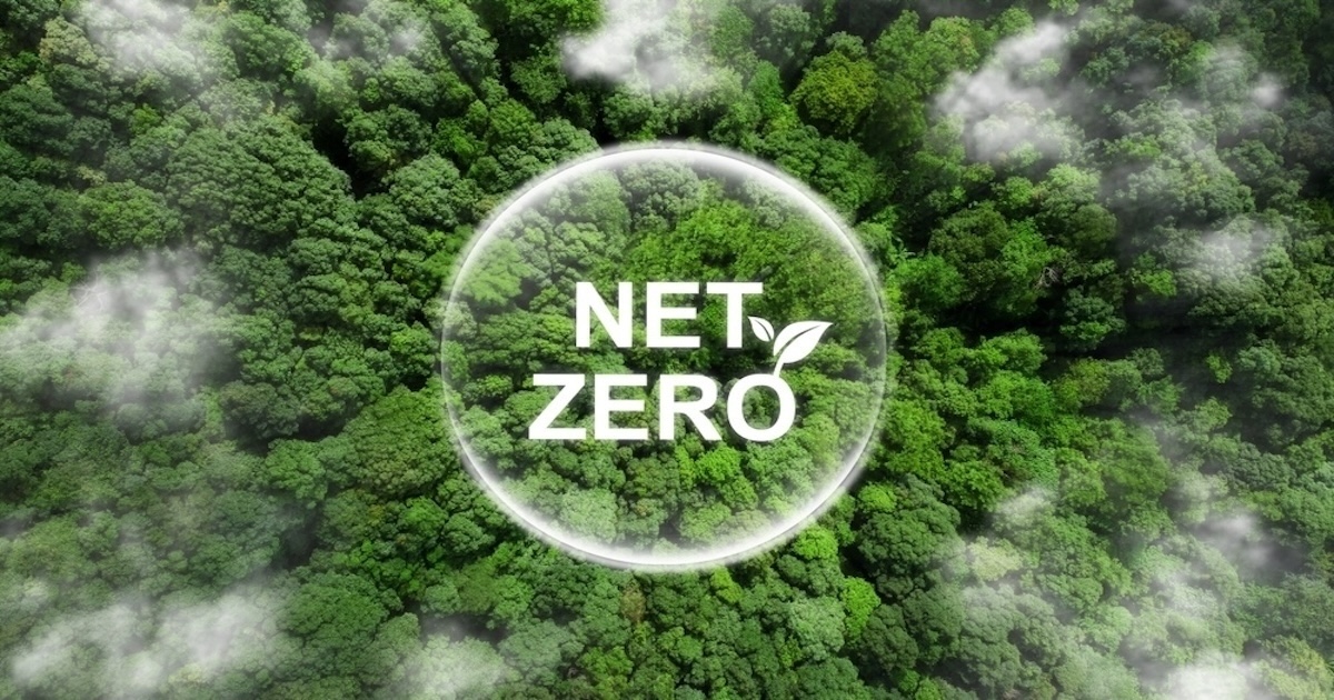 Net Zero Week 2024: A Virtual Journey to Sustainability | Net Zero Compare