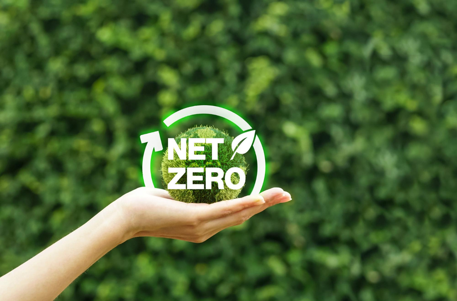 Forbes Releases 2025 Net Zero Leaders List, Spotlighting Companies ...