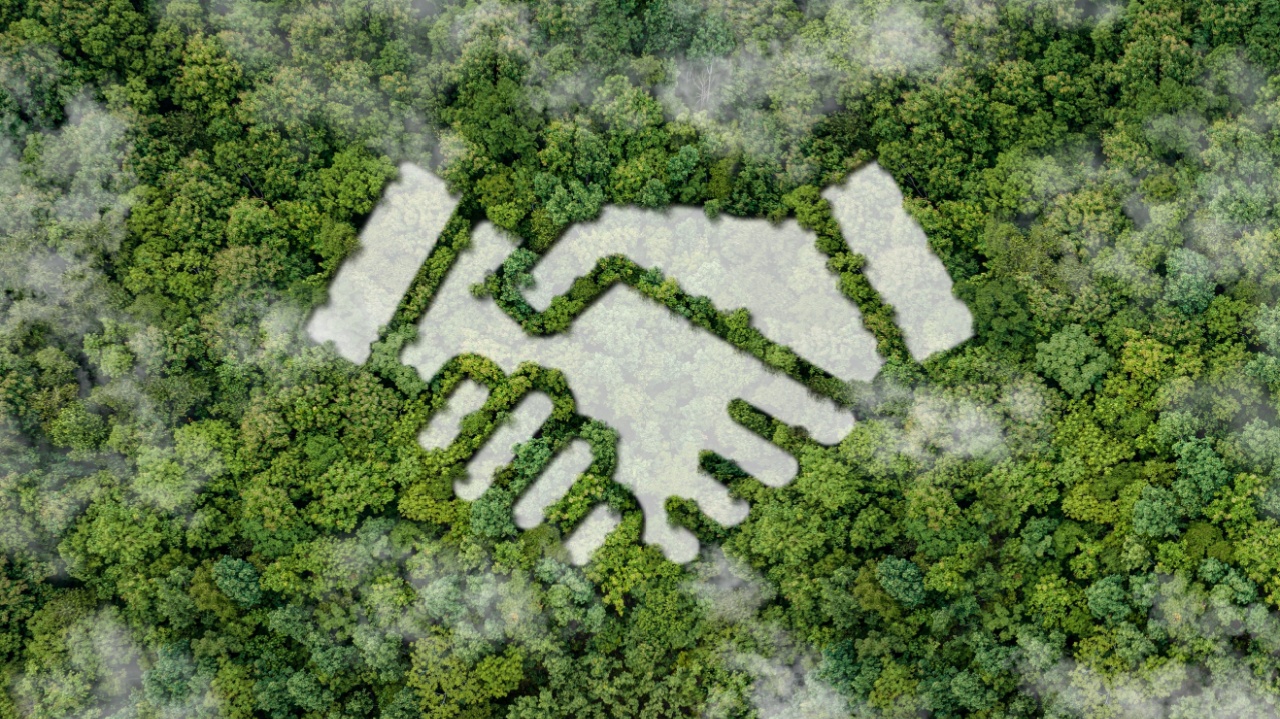 Understanding the Equator Principles: A Pragmatic Guide for Business ...